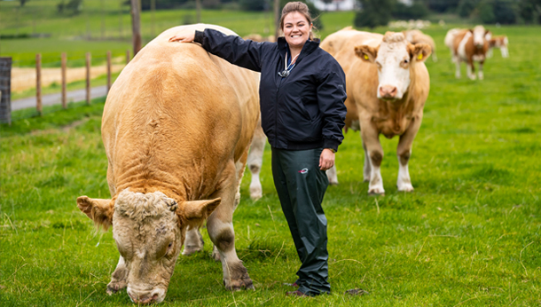 About Forth Valley Vets | Farm and Equine - Forth Valley Vets About Forth Valley Vets | Farm and Equine - Forth Valley Vets