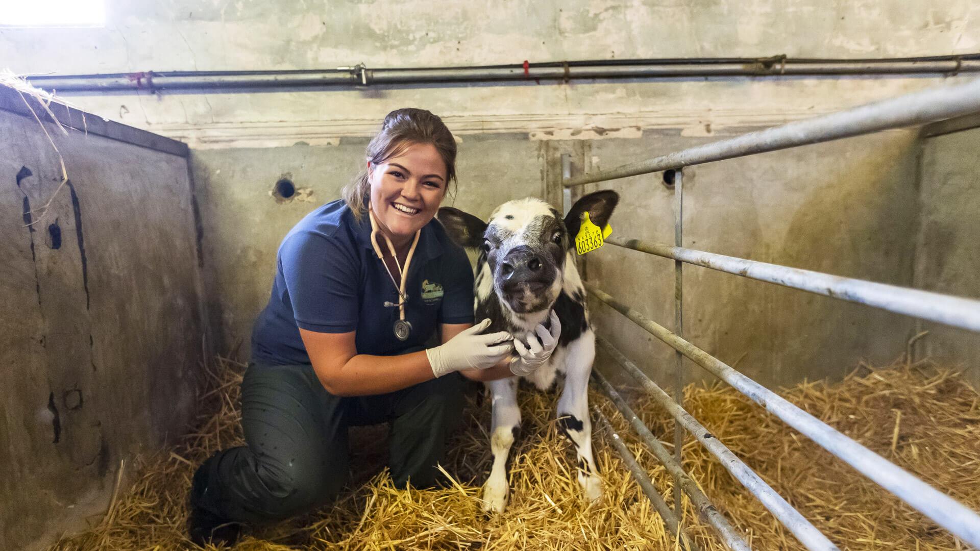 Contact Us | Local Vets in Stirling & Forth Valley - Forth Valley Vets Contact Us | Local Vets in Stirling & Forth Valley - Forth Valley Vets