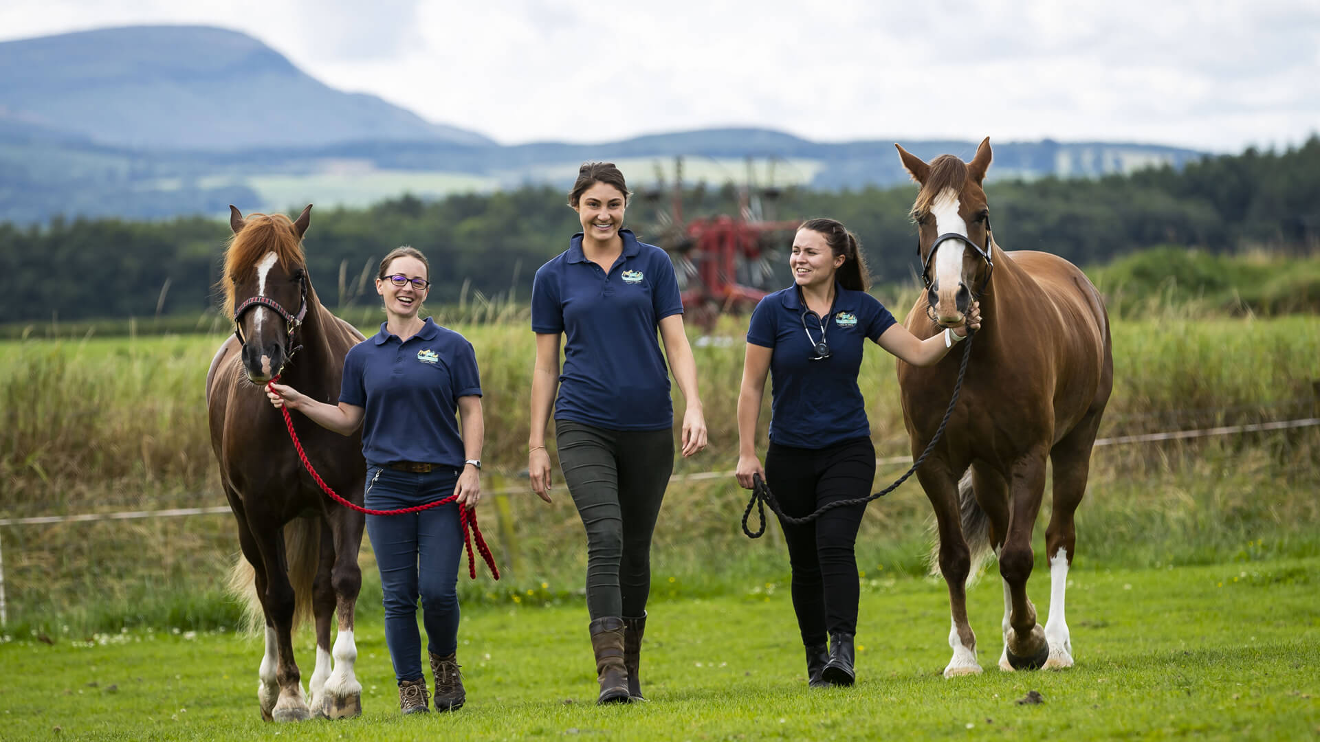 Equine services | Local Vets in Stirling & Forth Valley - Forth Valley Vets Equine services | Local Vets in Stirling & Forth Valley - Forth Valley Vets