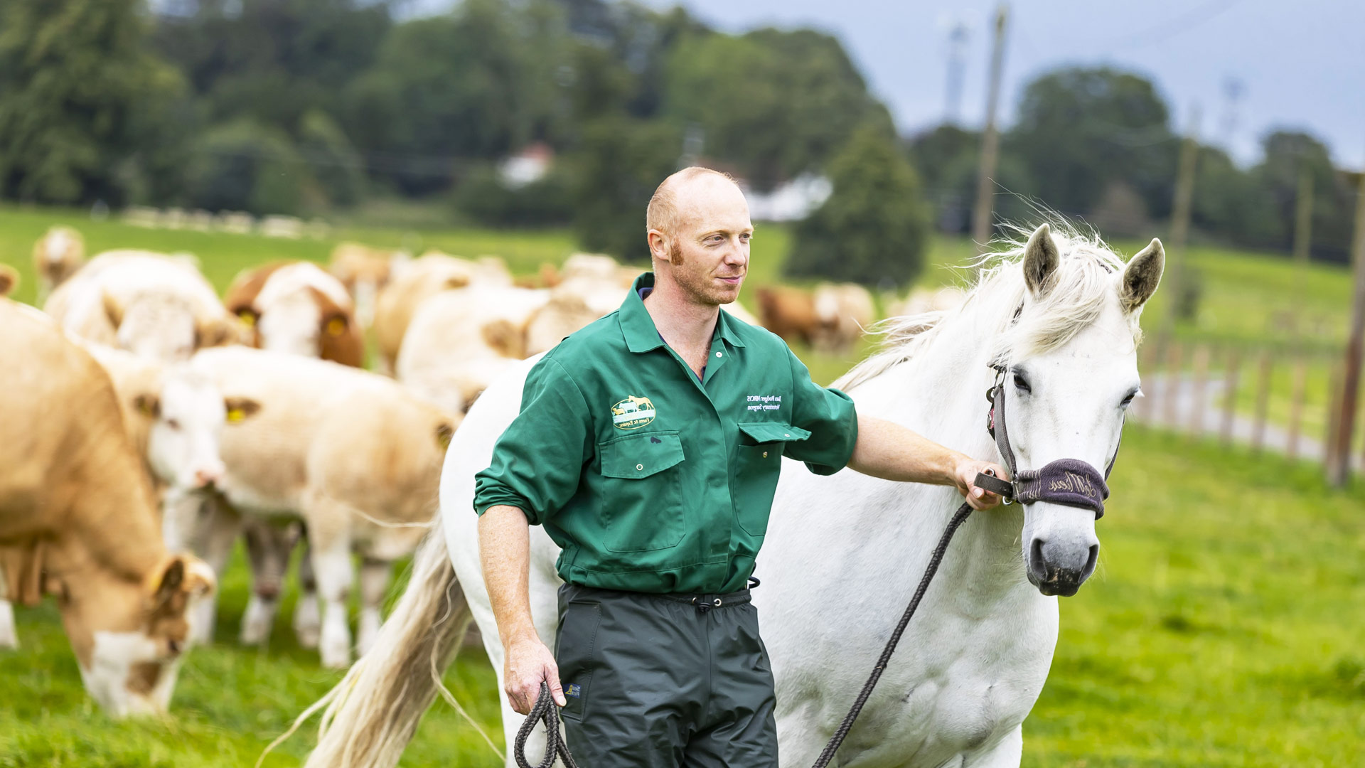 Farm and Equine Vets in Stirling & Perth | Forth Valley Vets - Forth ... Farm and Equine Vets in Stirling & Perth | Forth Valley Vets - Forth ...