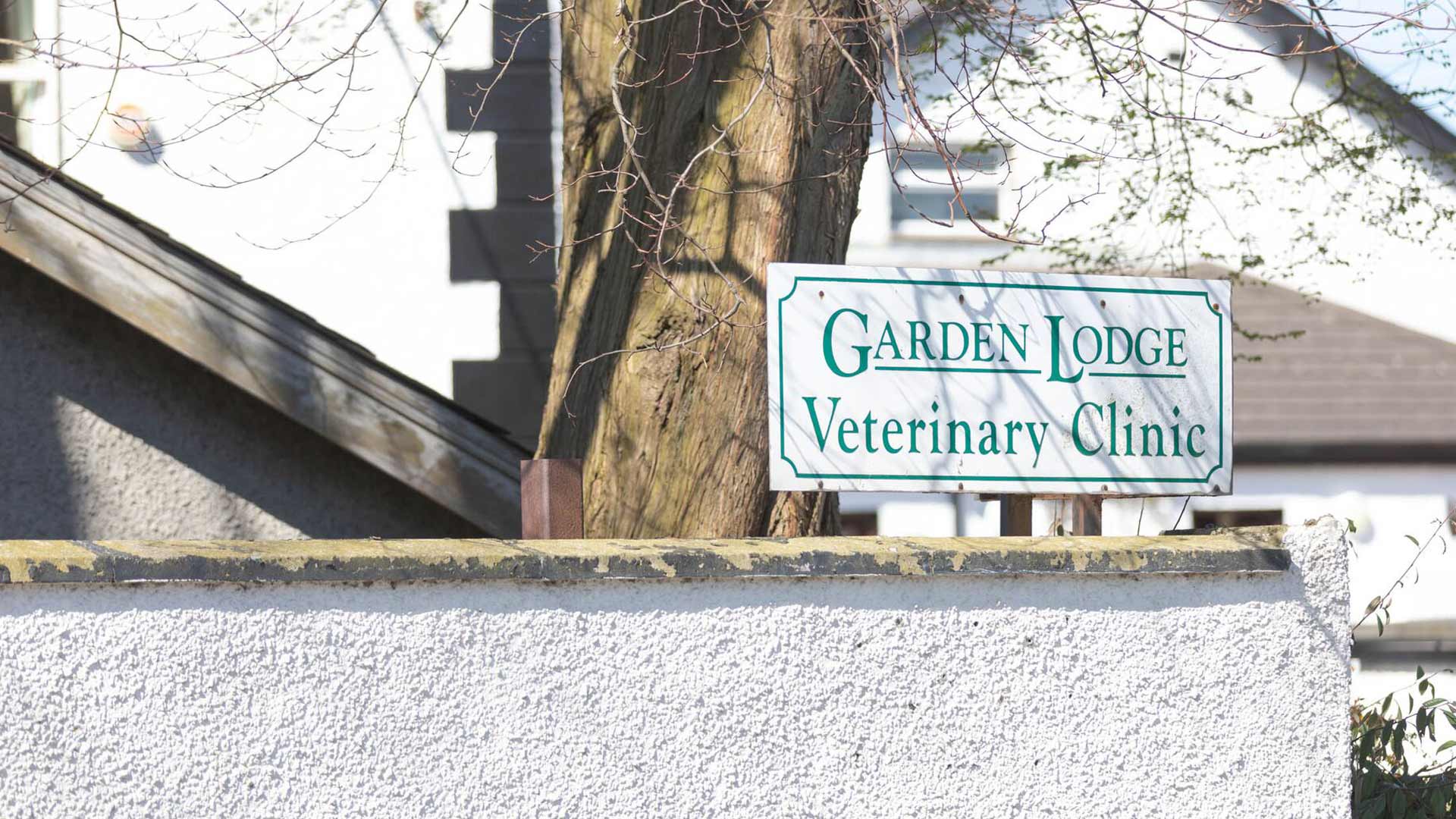 Contact Us | Local Vets in Belfast - Garden Lodge Veterinary Clinic