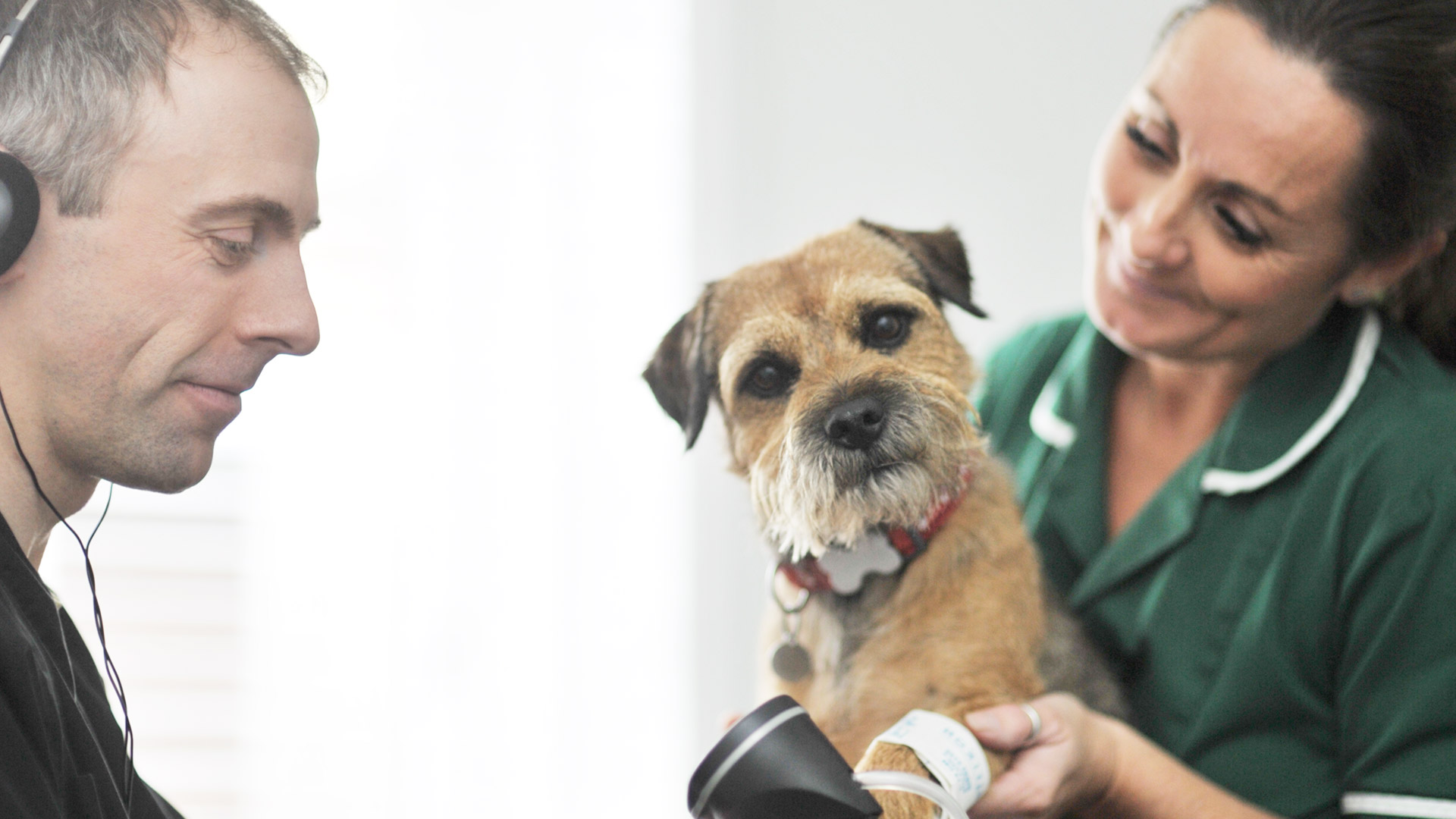 Vets in Standish | Committed Vets in Wigan - Gilmore Vets