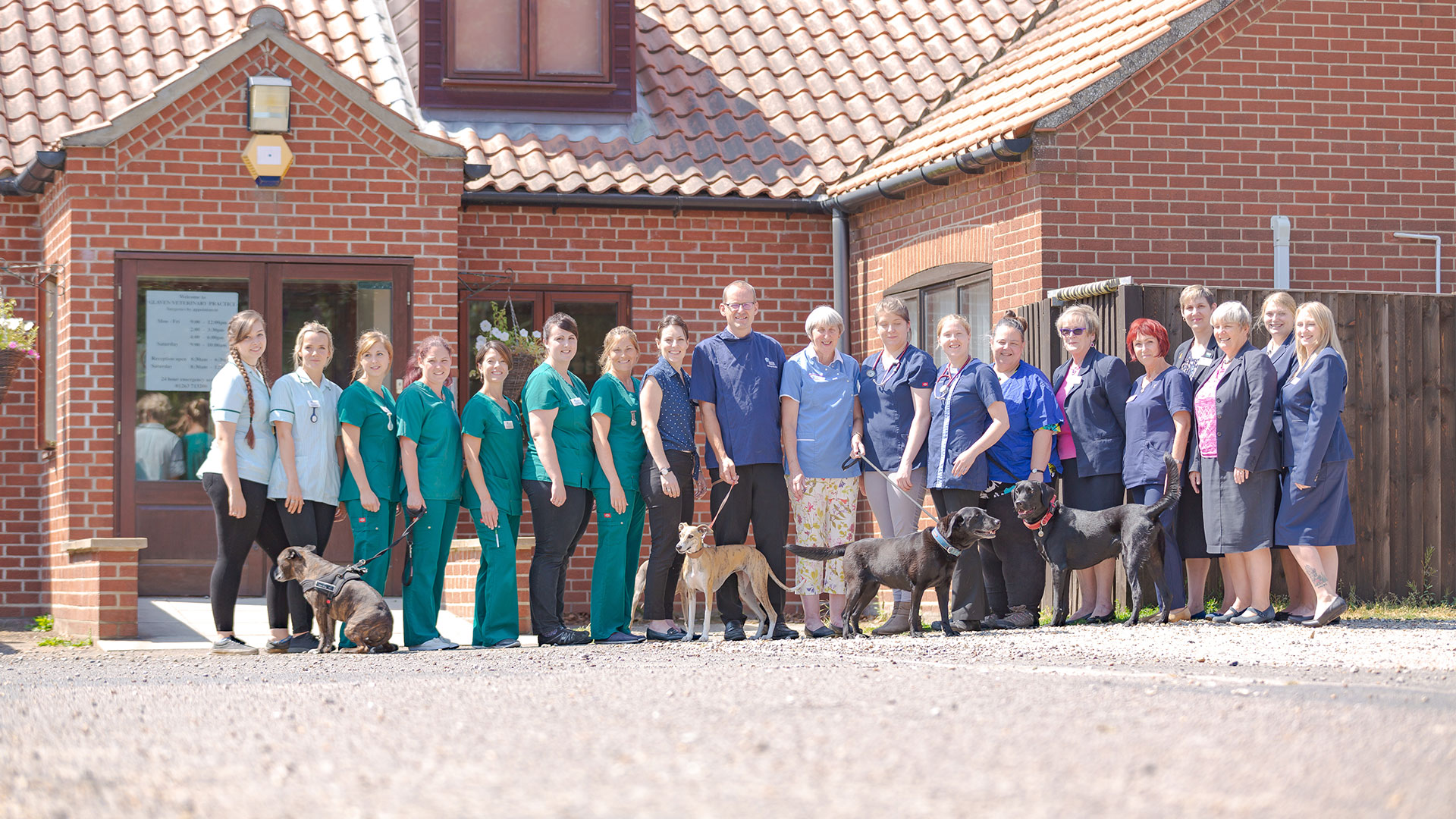 Vets in Holt & Wells-next-the-sea | Affordable Norfolk Vets - Glaven Vets