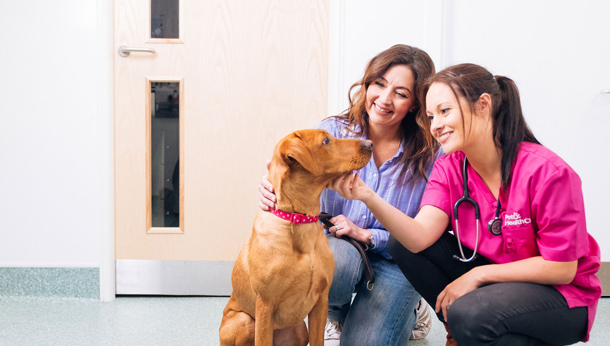 Grange Hill Veterinary Centre | Affordable Vets in Lichfield - Grange ...