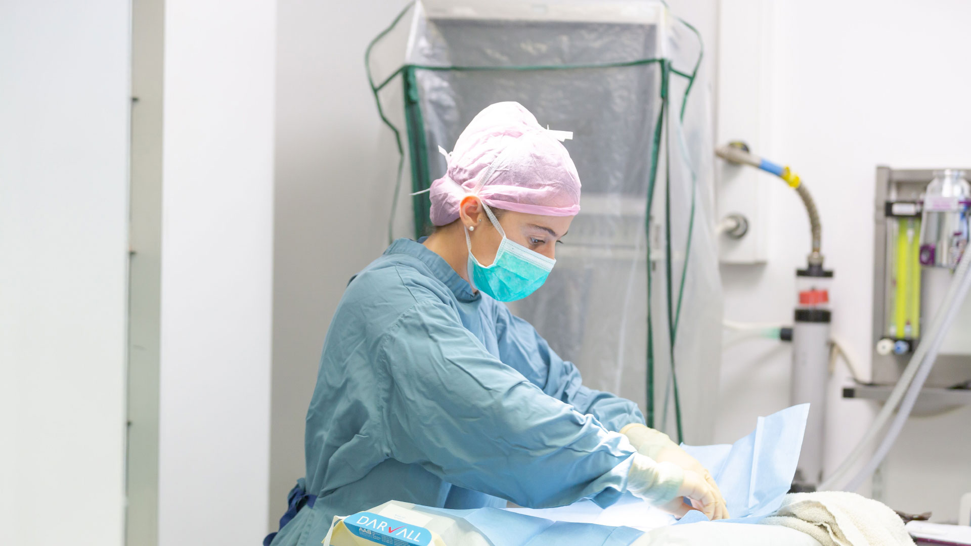 Pet Emergency | Local Vets in West & East Sussex - Grove Lodge Vets