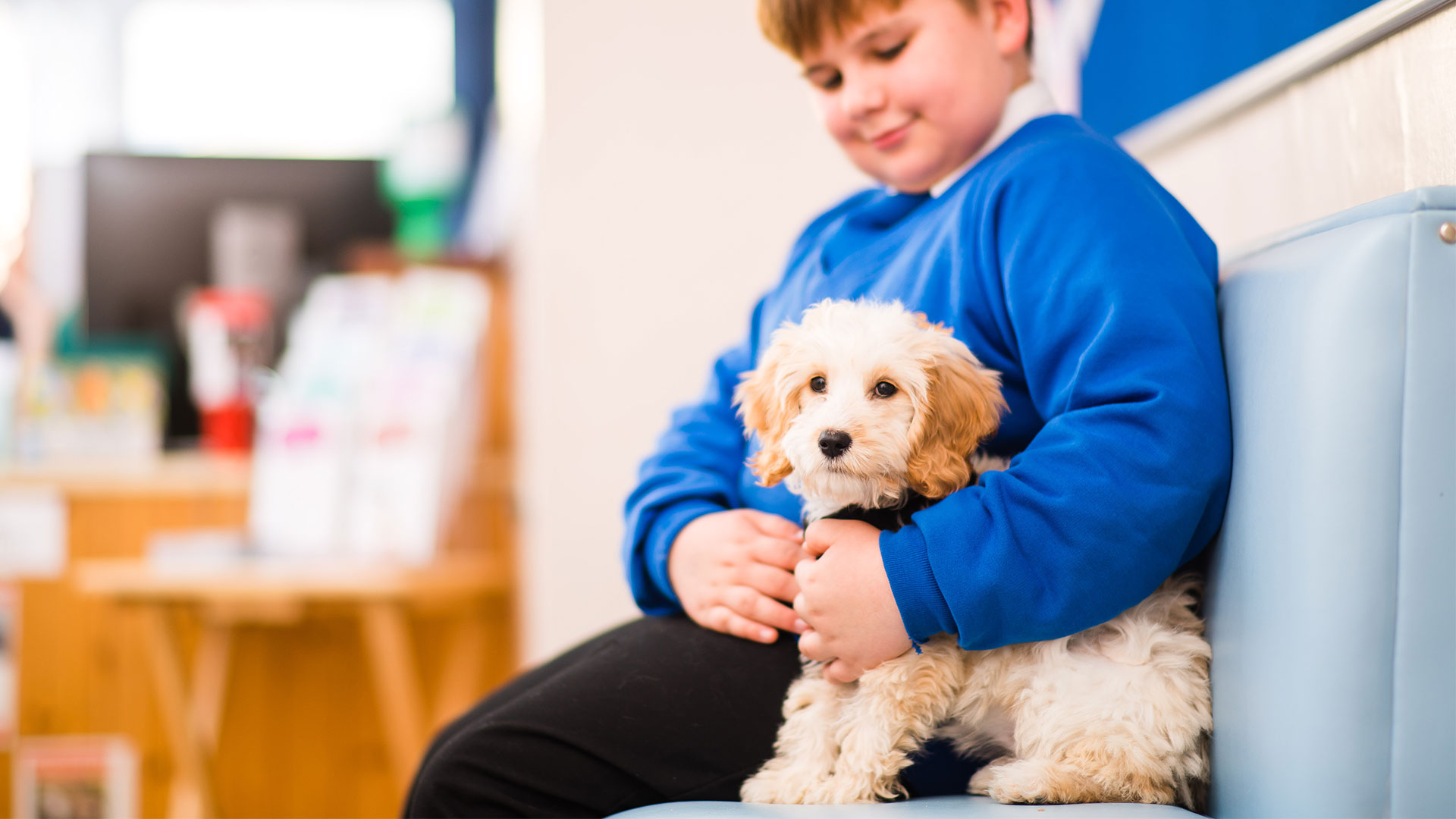 Puppy Parties | Local Vets in West & East Sussex - Grove Lodge Vets