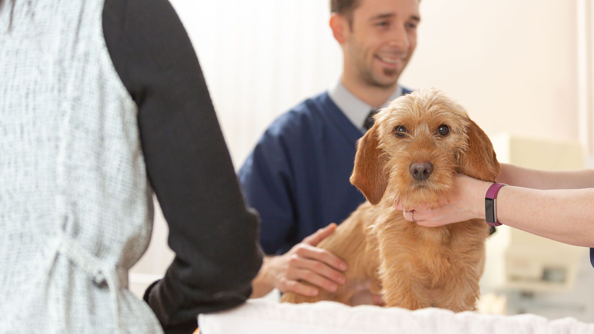 Referrals - Grove Lodge Vets