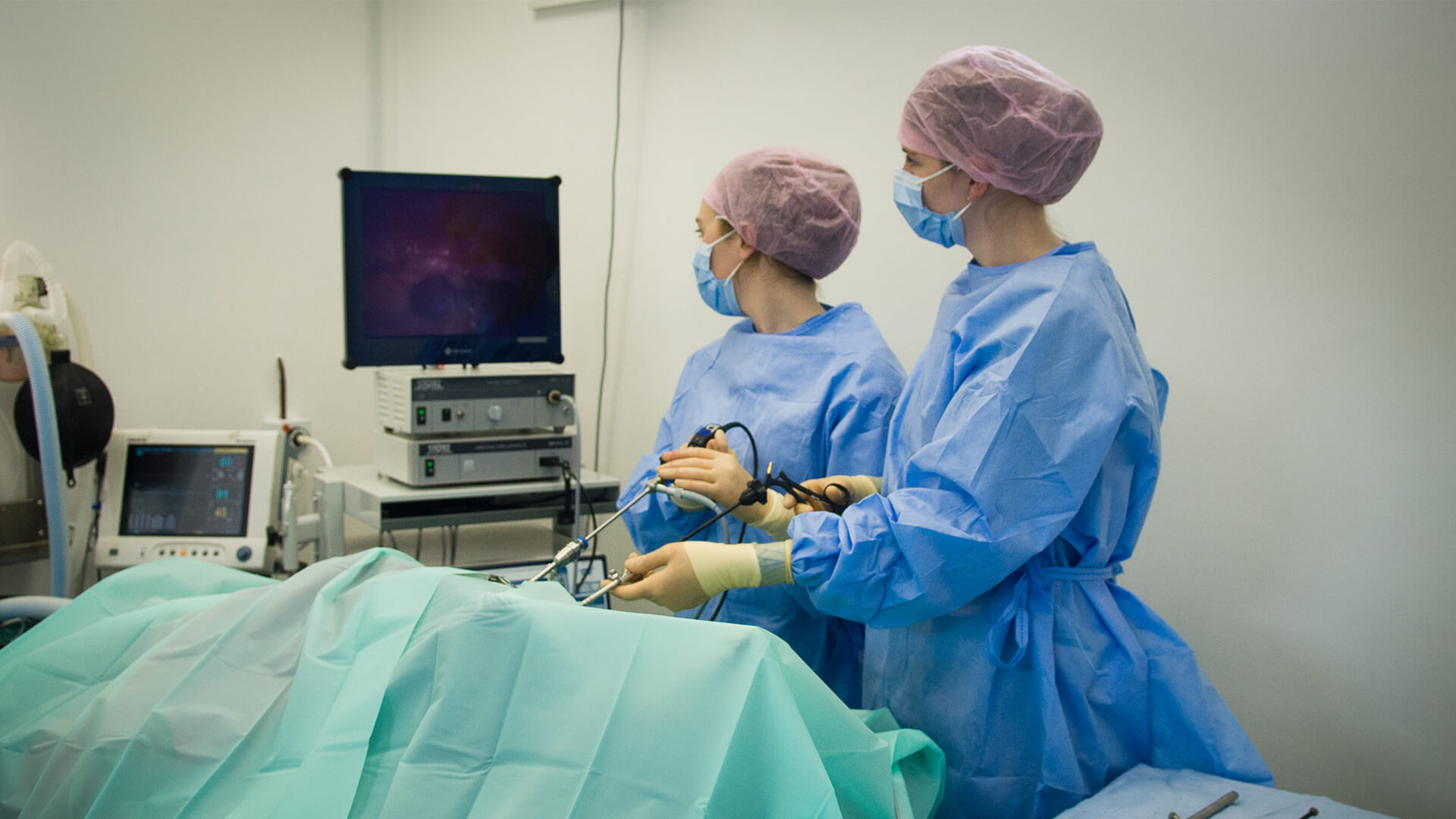 Hall Place Veterinary Centre | Services - Hall Place Veterinary Centre