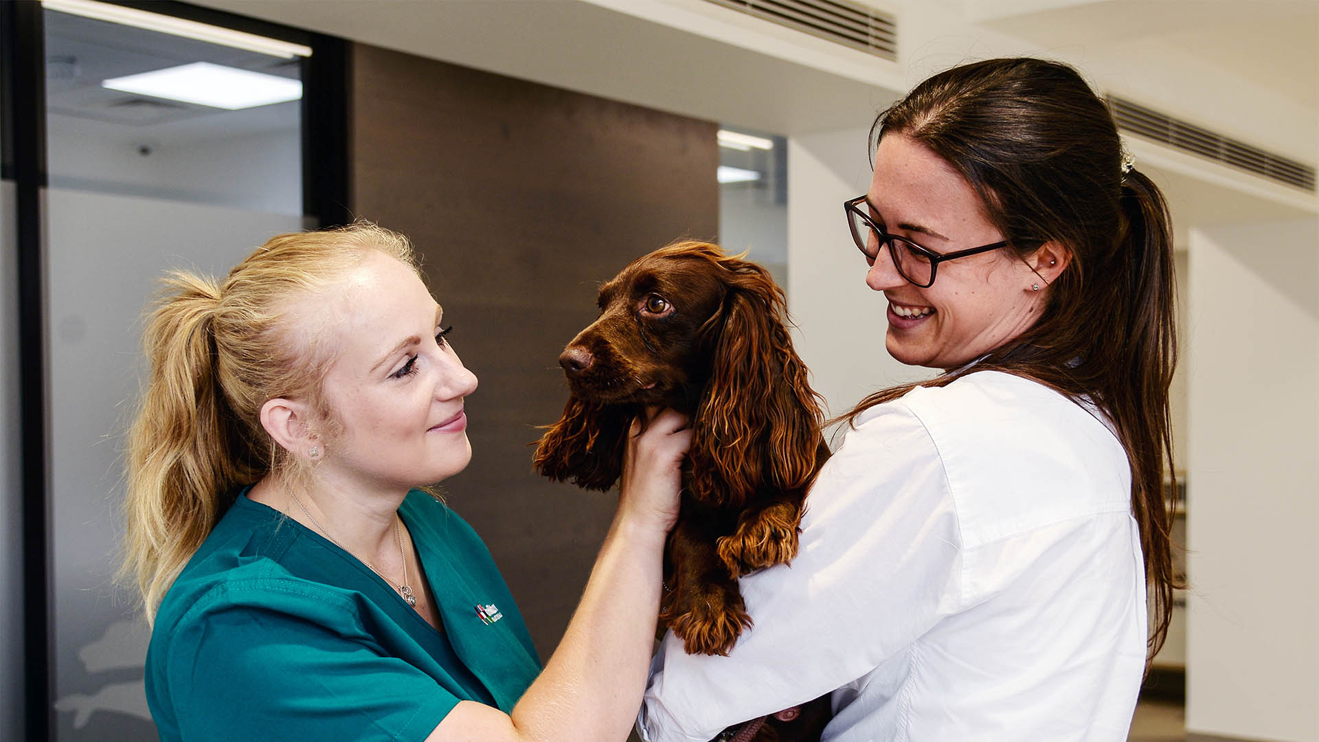 Specialist Referral Advice for Pet Owners | A new breed of specialist referral hospital | Based ...