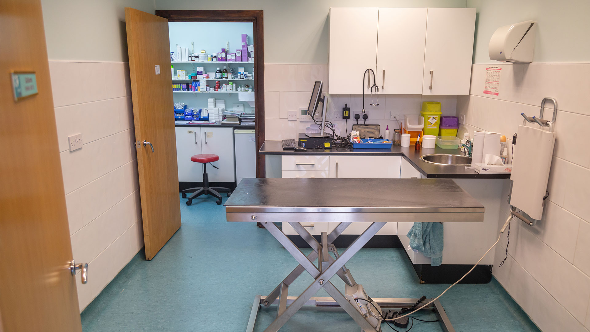 Emergency Vets in Cardiff | Heath Vets - Heath Vets