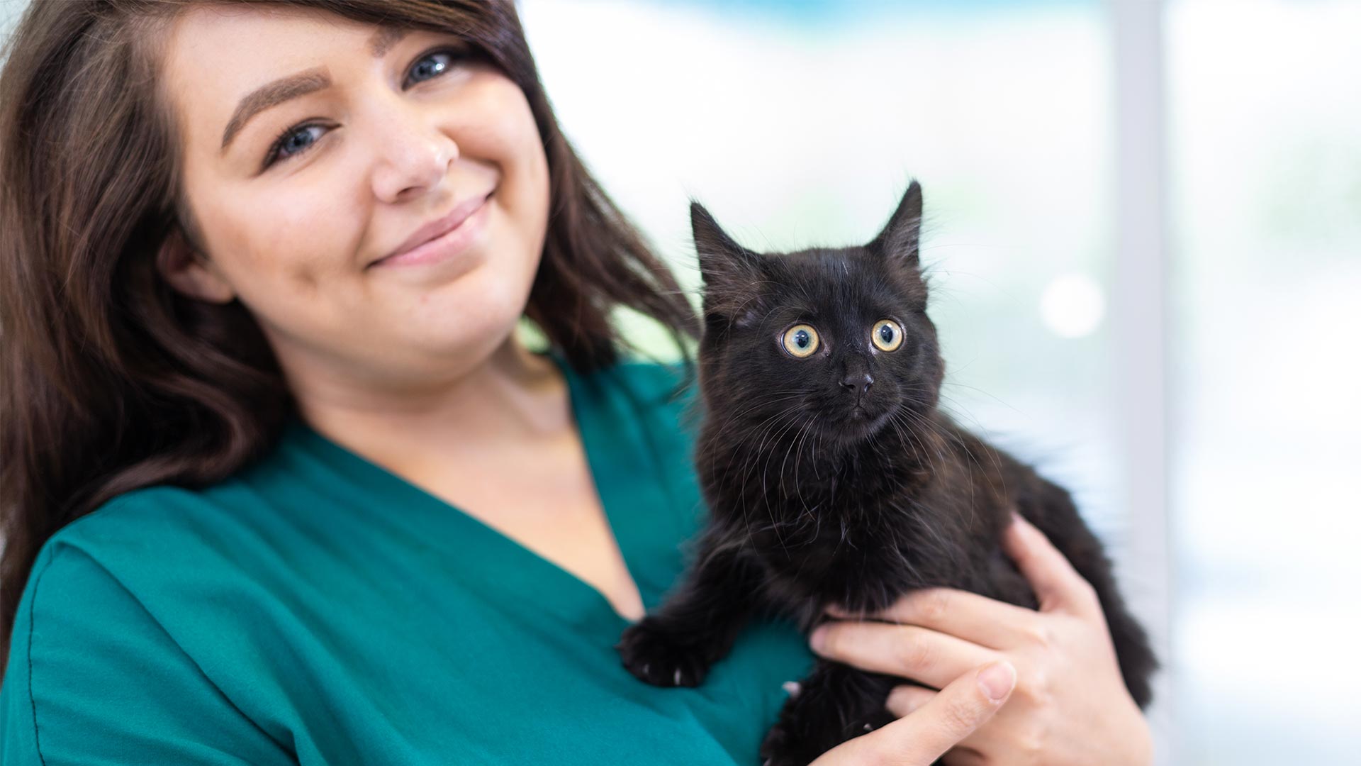 Great Local Vet Offers in Cardiff - Heath Vets