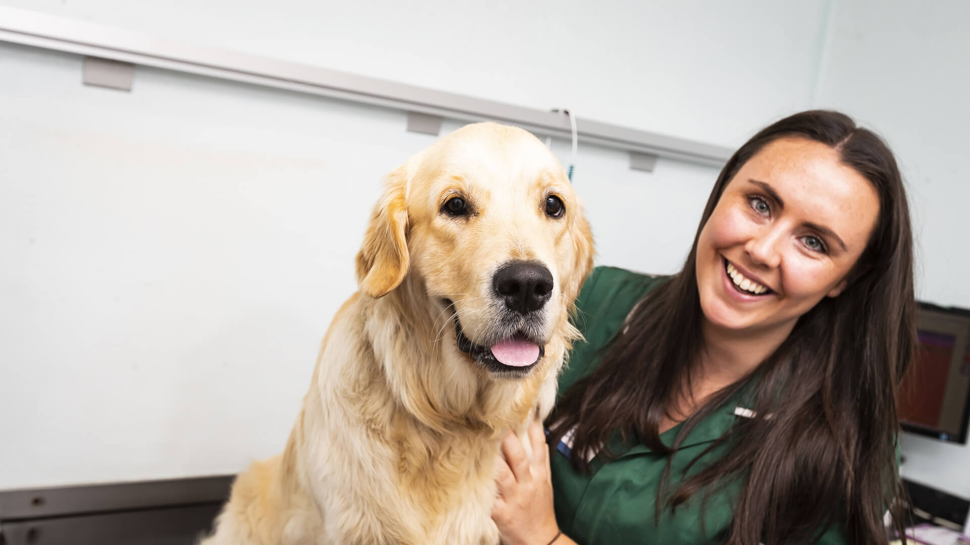 Vets in Loanhead | Affordable Vets In & Around Edinburgh - ICR Vets