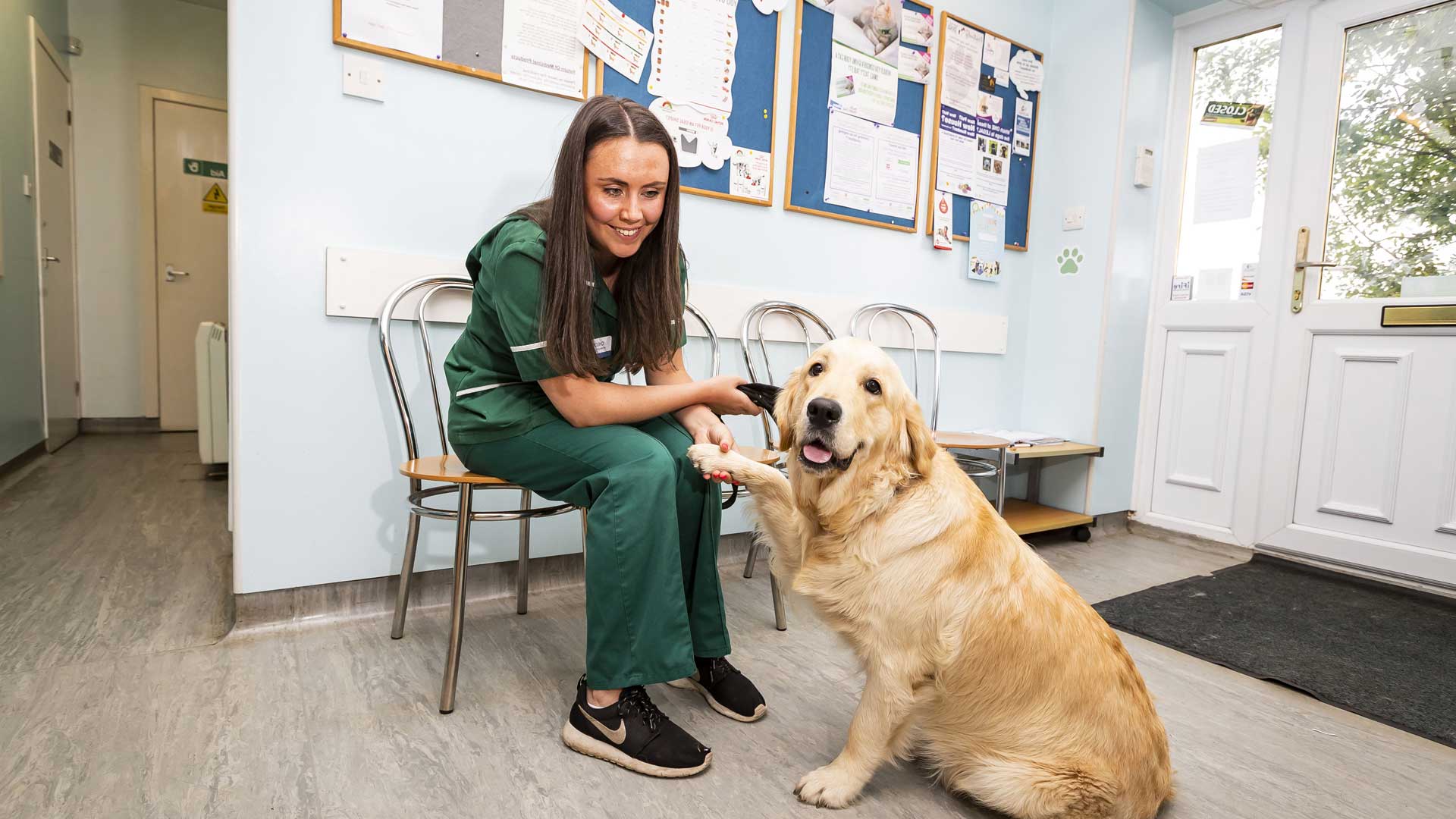 Contact Us | Local Vets In & Around Edinburgh - ICR Vets