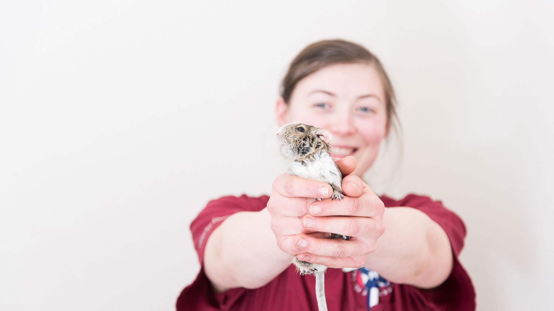 Giving Something Back | Supporting Pets & People - Inglis Vets