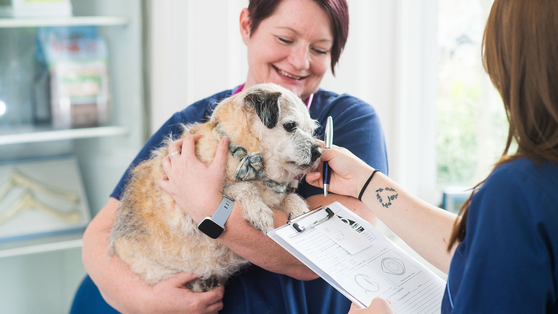 Contact Us | Local Vets In & Around Cornwall - Kernow Vet Group