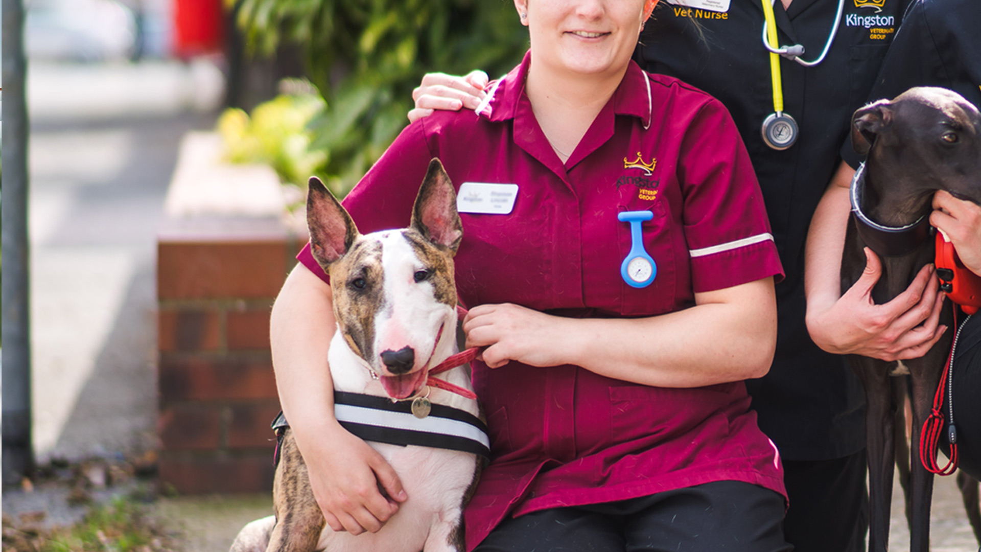 Meet the Kingston Vets Team | Your Local Vet - Kingston Vets