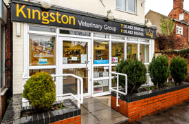 Contact Our Veterinary Team | Hull |Kingston Veterinary Group ...
