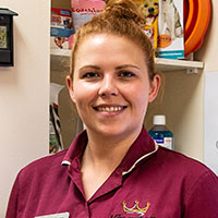 Meet the Kingston Vets Team | Your Local Vet - Kingston Vets