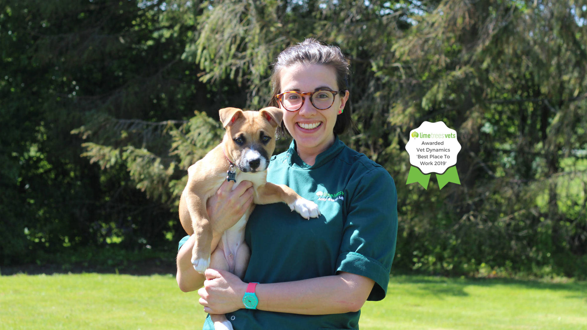 Careers | Local Vets in Stoke-on-Trent - Lime Trees Vets
