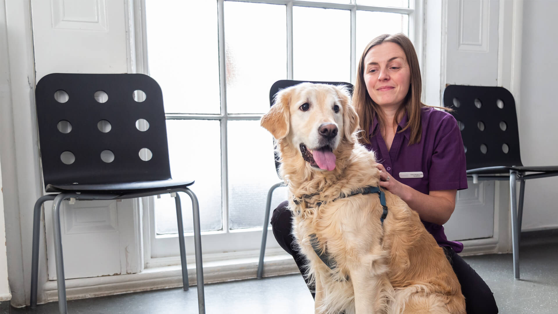 Pre-Operative Information | Local Vets in Stoke-on-Trent - Lime Tree Vets