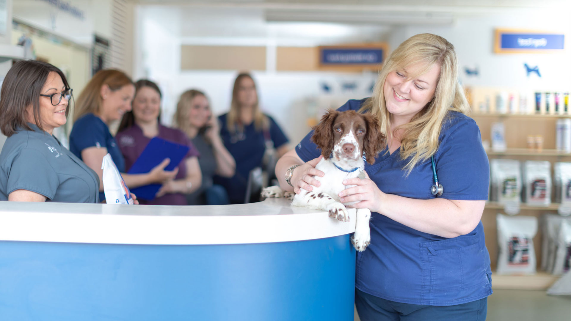 About London Road Vets in Downham Market and King's Lynn | Your Local ...