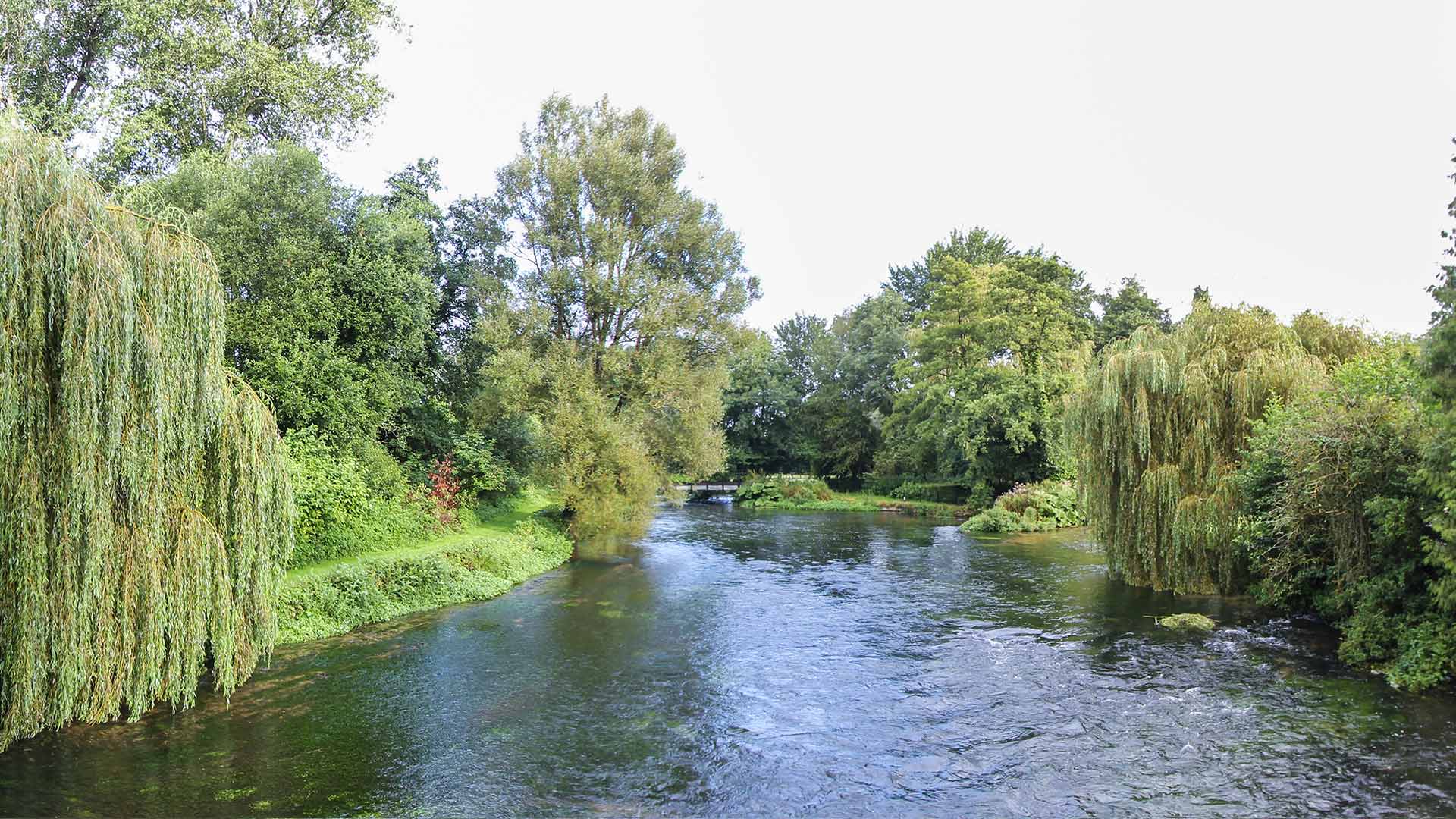 Online Shop - Mainstone Veterinary Clinic