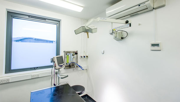 About Manor Veterinary Clinic | Exceptional Veterinary Care in ...