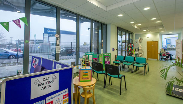 About Manor Veterinary Clinic | Exceptional Veterinary Care in ...