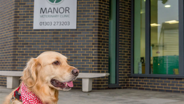 About Manor Veterinary Clinic | Exceptional Veterinary Care in ...