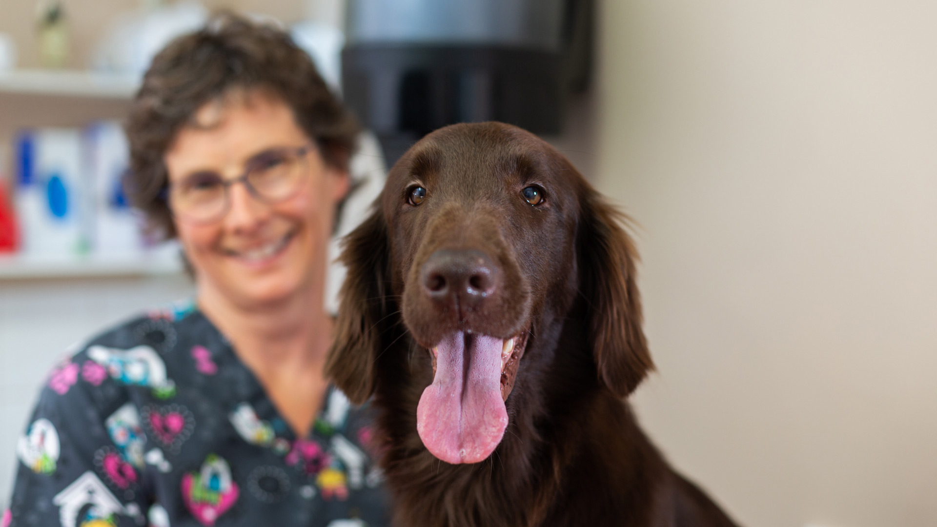Pet Care in Pershore | Pet Advice Martin and Carr - Martin and Carr Vets