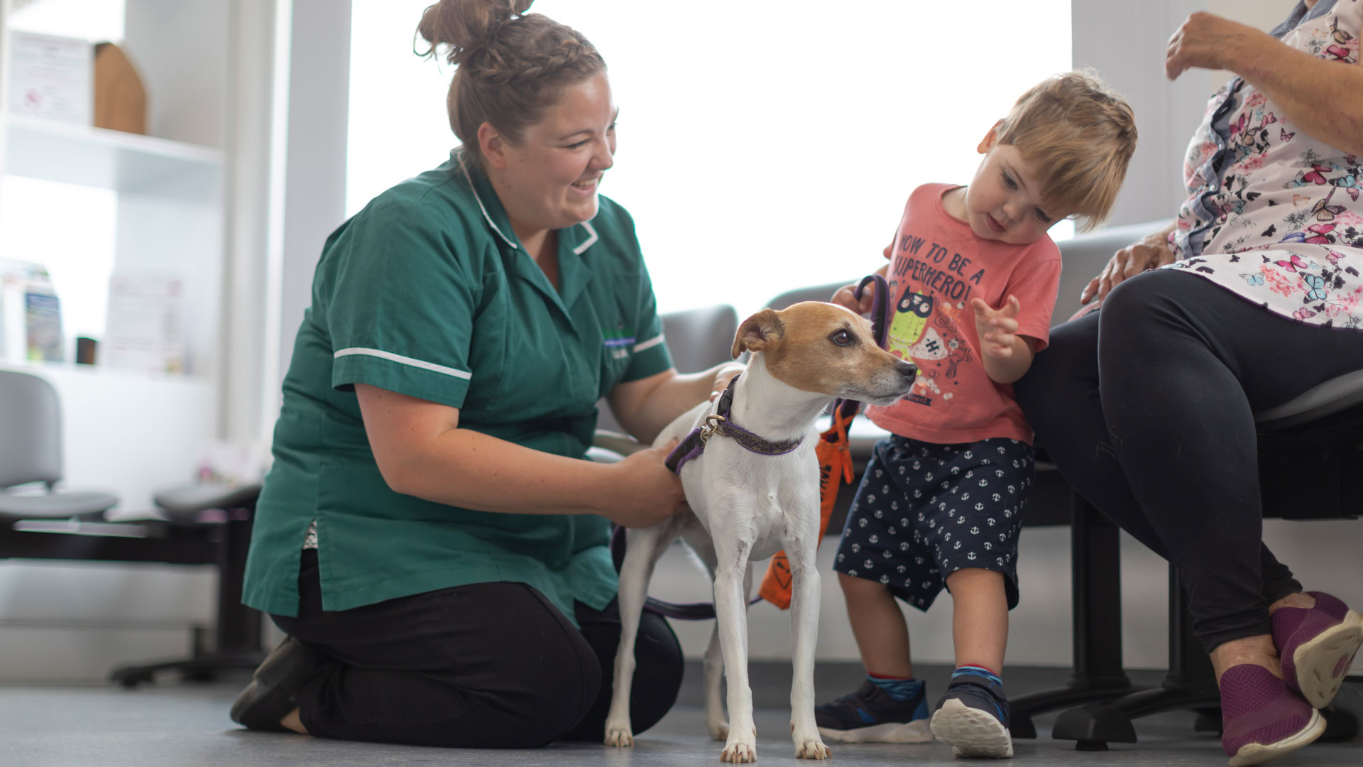 About us | Local Vets in Sheringham - Miramar Vet Centre