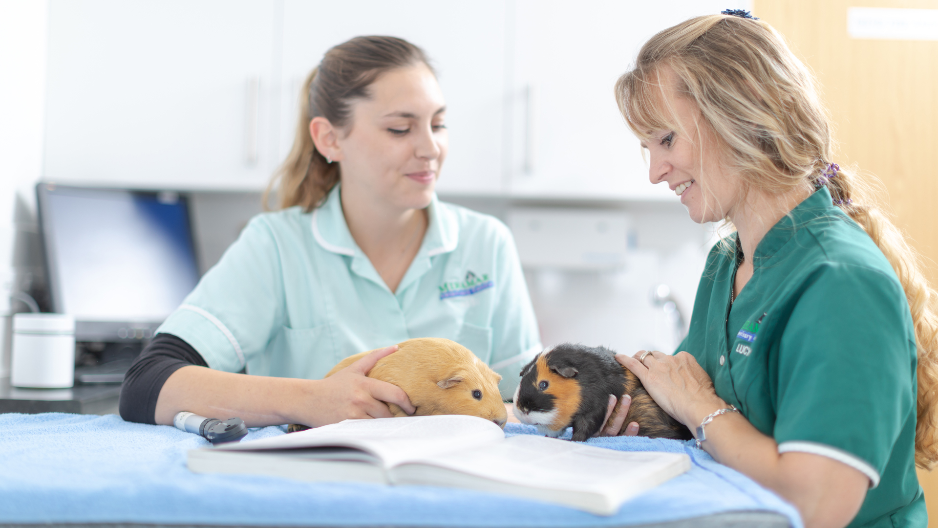 Meet the Team | Local Vets in Sheringham and Cromer, Norfolk - Miramar ...