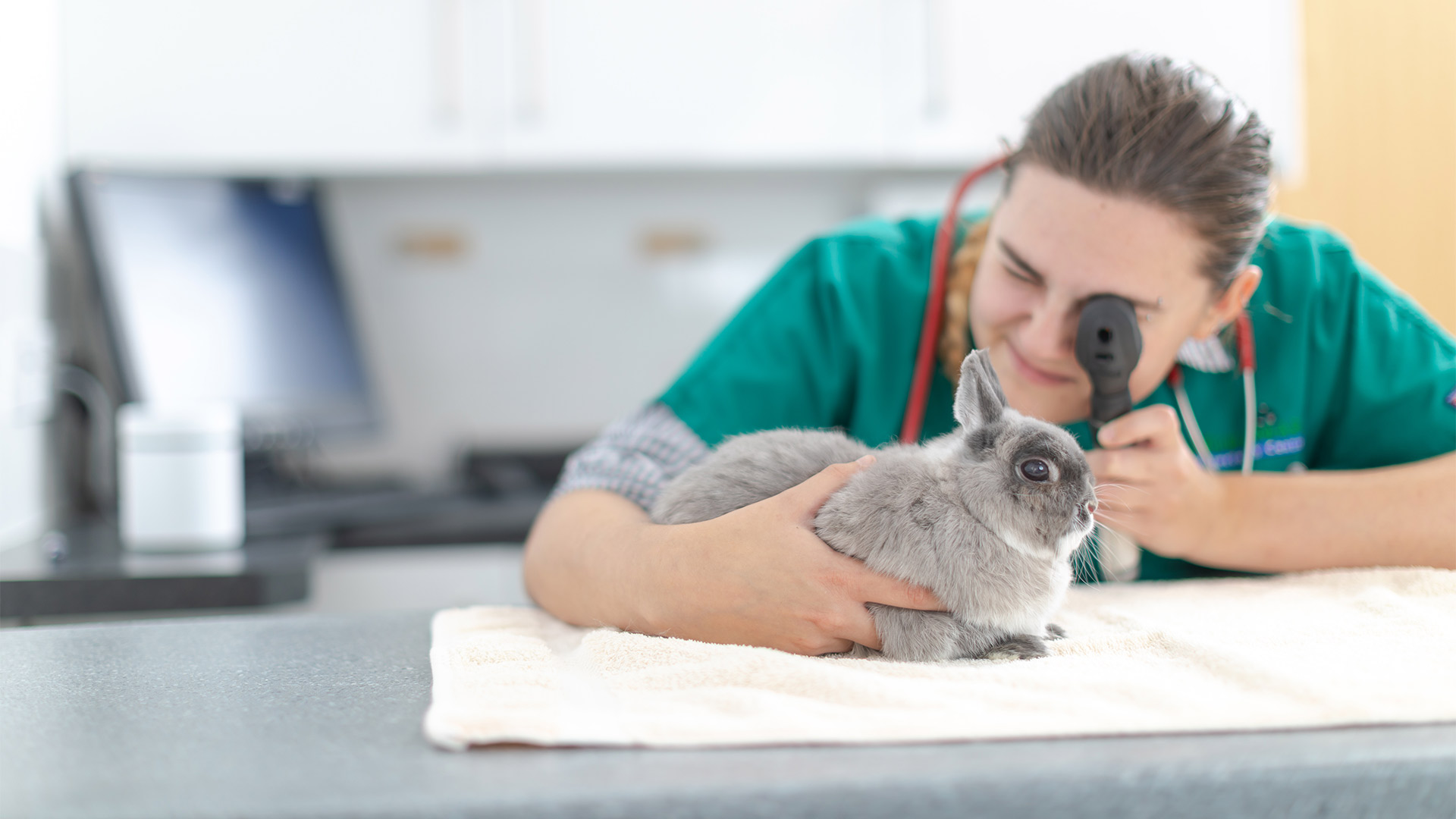 About us | Local Vets in Sheringham - Miramar Vet Centre