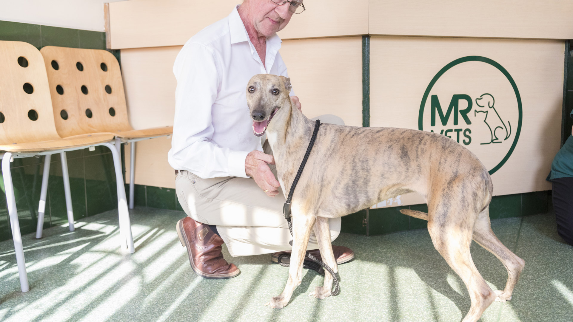 Vets in Manchester | Affordable Gorton Vets - Mount Road Vets