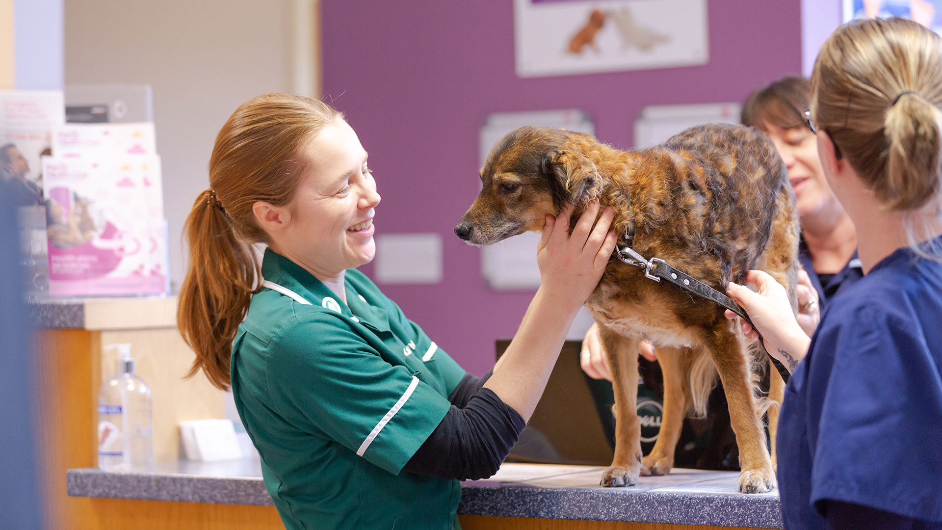 Contact us | Local Vets in Suffolk and Essex - Mulberry Vets