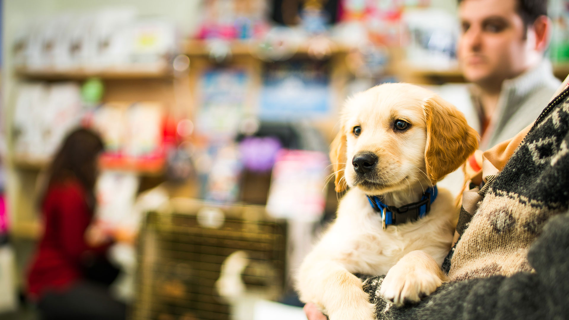 Online Shop | Powered by My Family Vets - My Vets