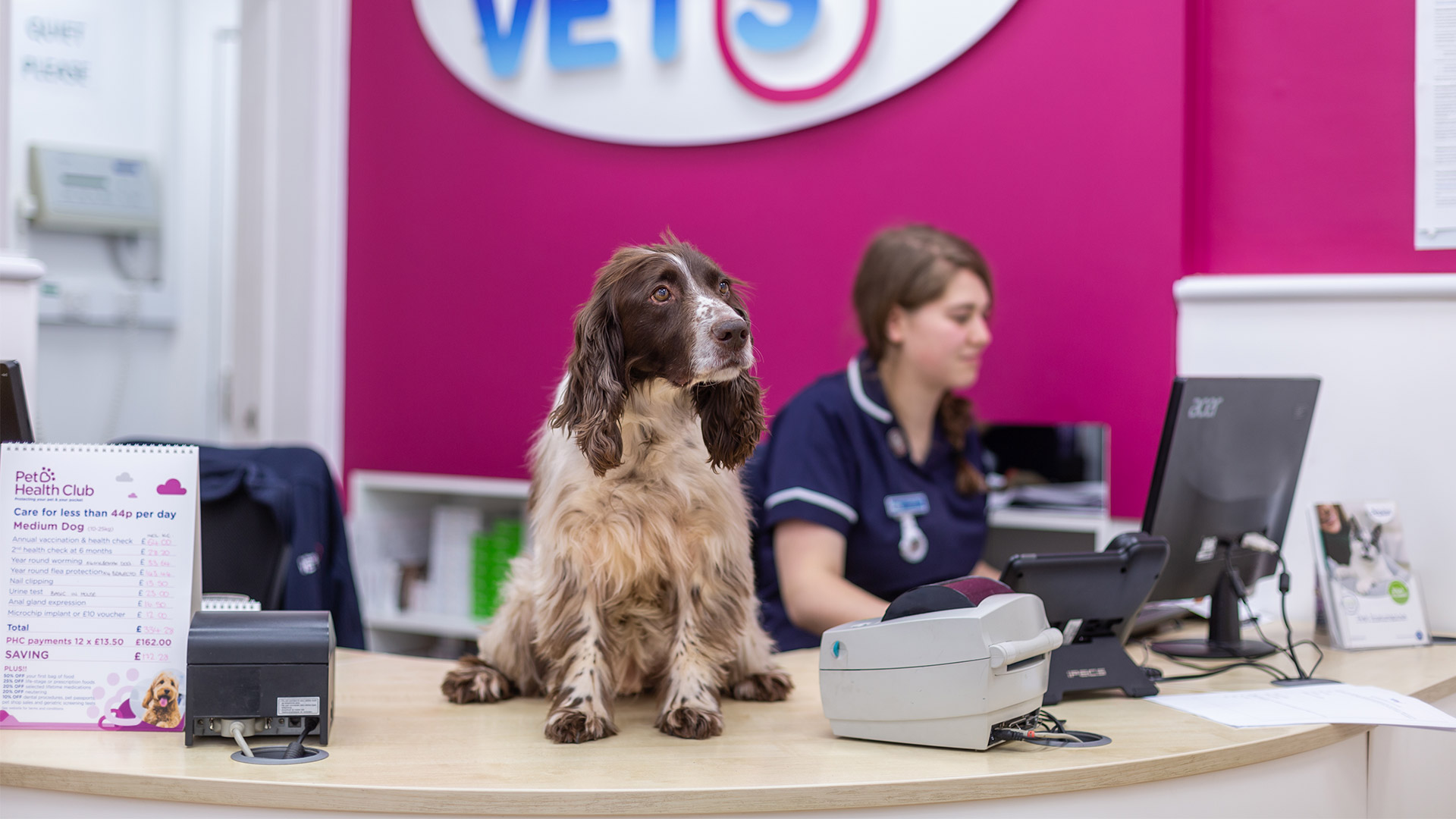 Contact Our Veterinary Team | East Devon | New Street Vets - New Street ...