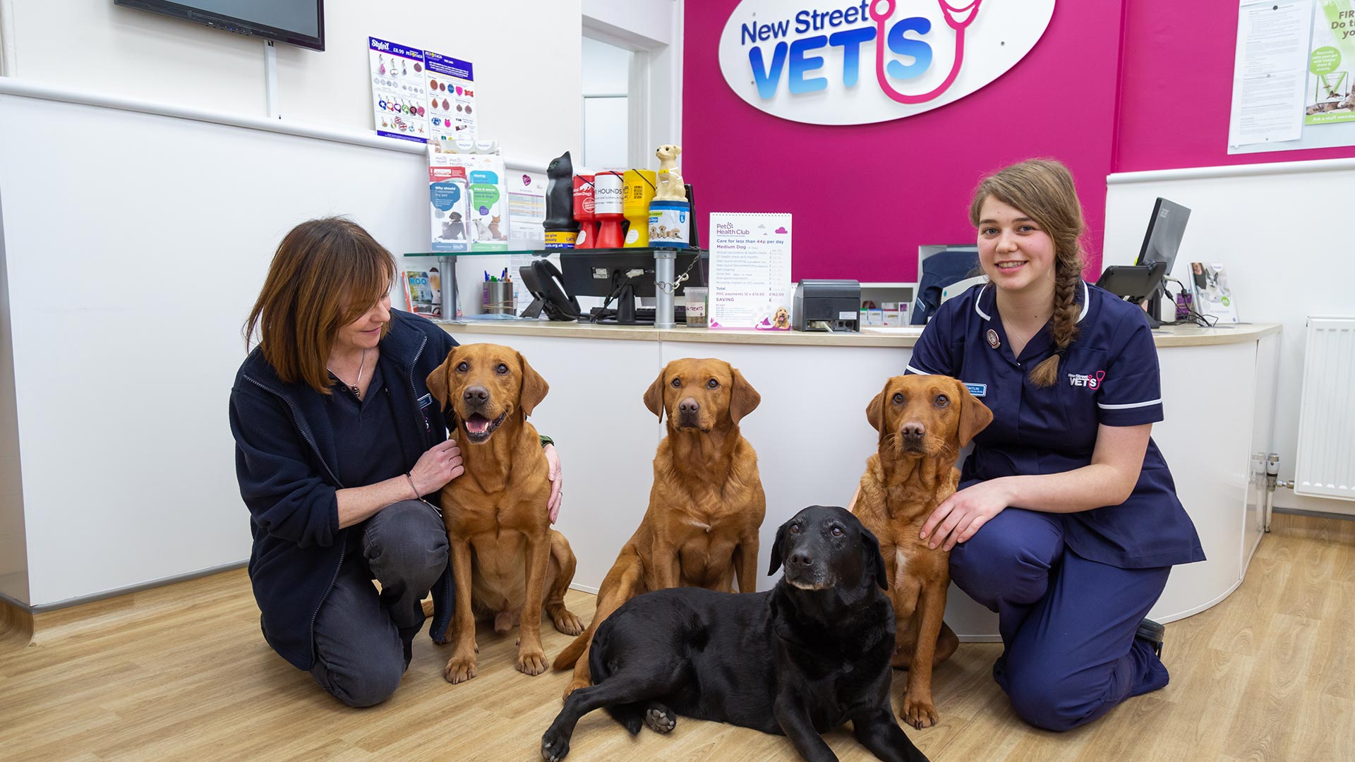 Vet Surgery Facilities | Honiton, East Devon - New Street Vets
