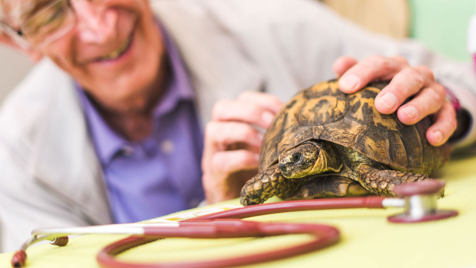 Veterinary Services Burnley | Local Vets in Burnley - Oakmount Vets