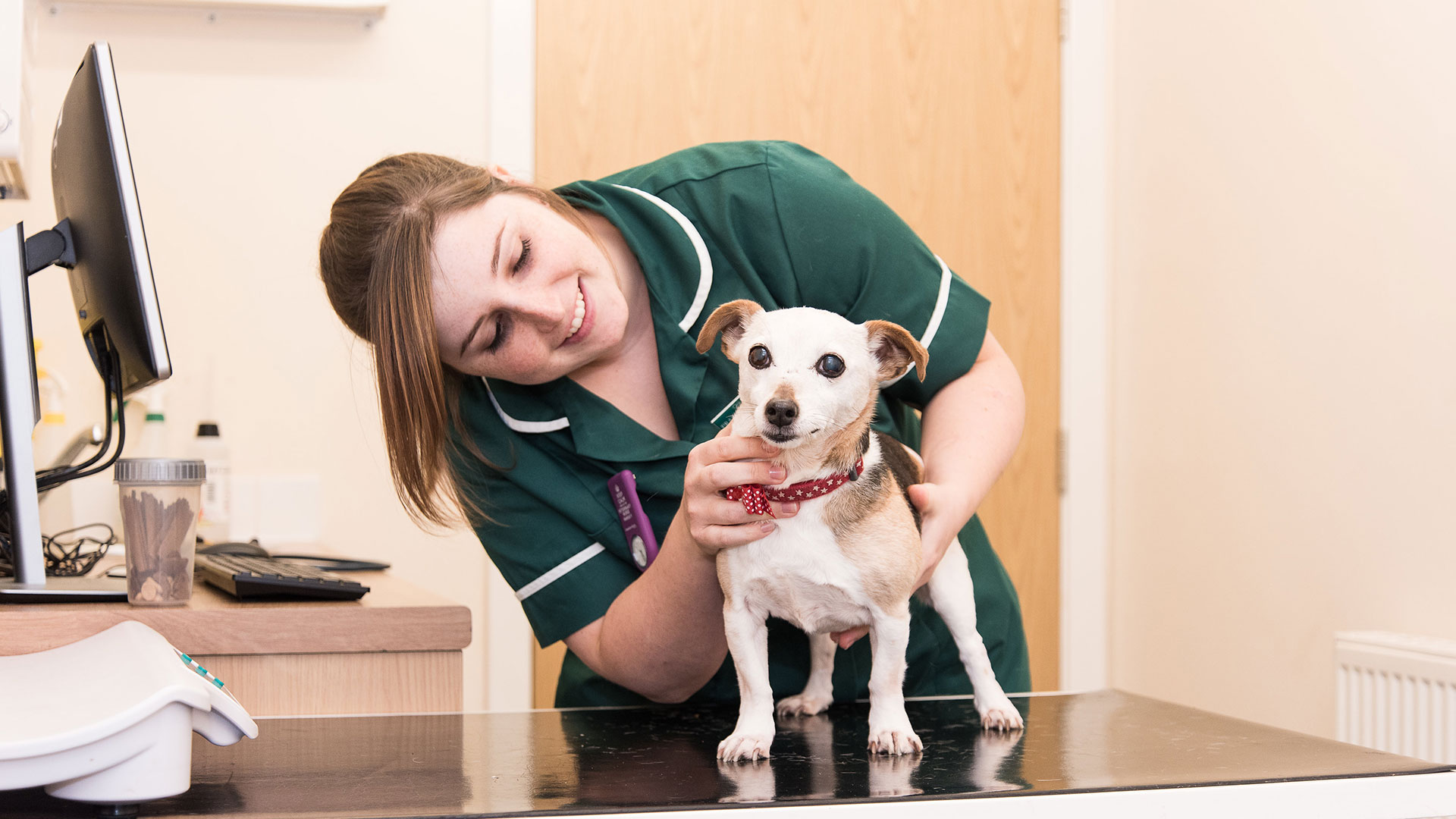 Vet Nurse Consultations | Local Vets in Ayrshire. - The Oaks Vet Centre