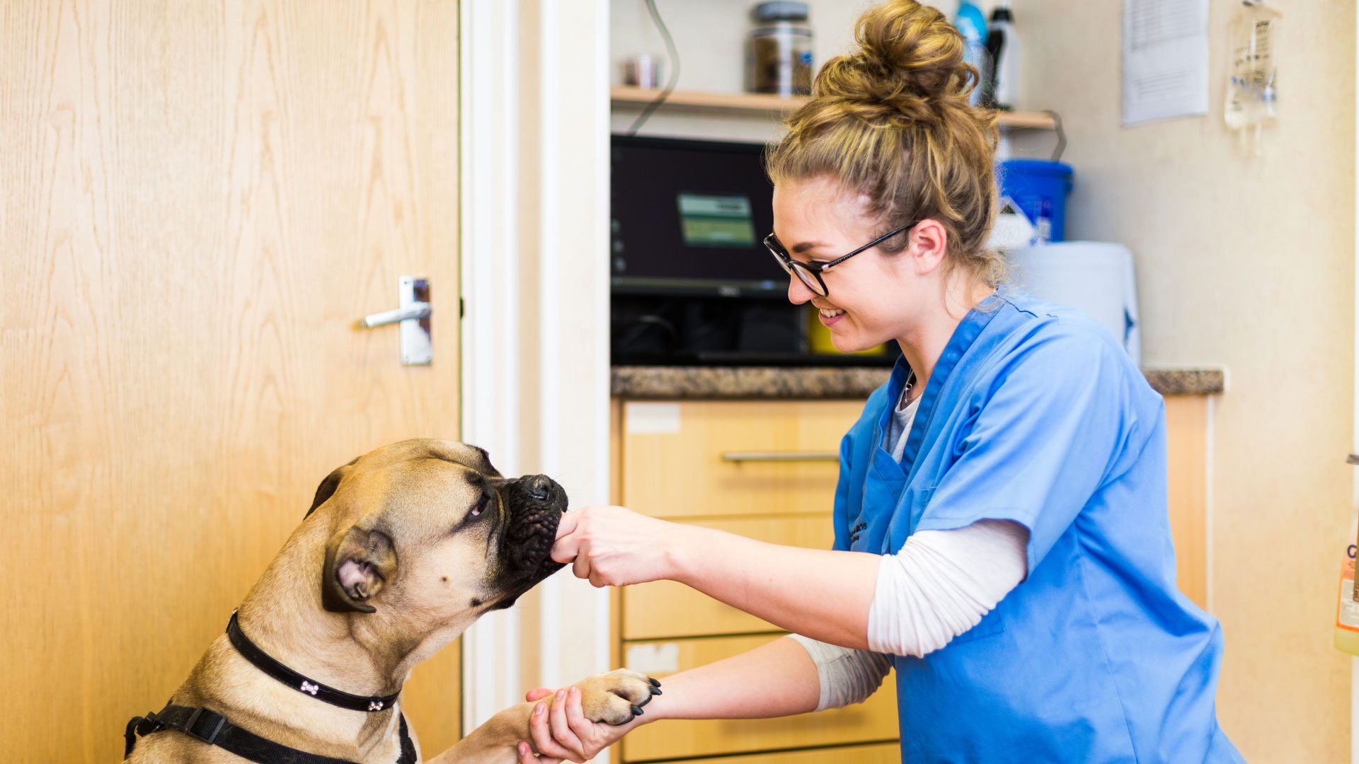 Contact Us | Local Vets in Staffordshire and Wombourne - Island Vets