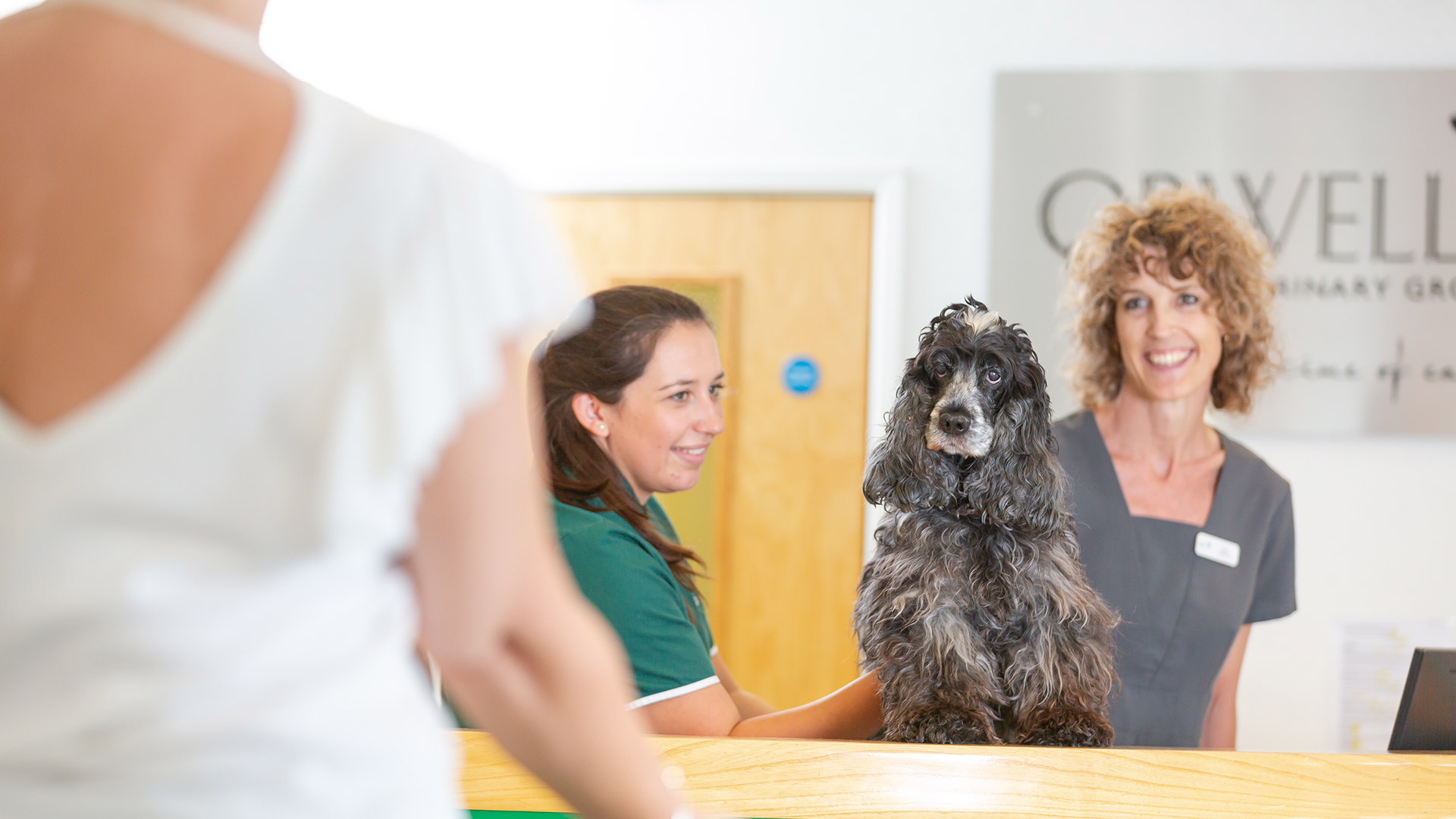 Contact Vets in Suffolk | Local Vets - Orwell Vets
