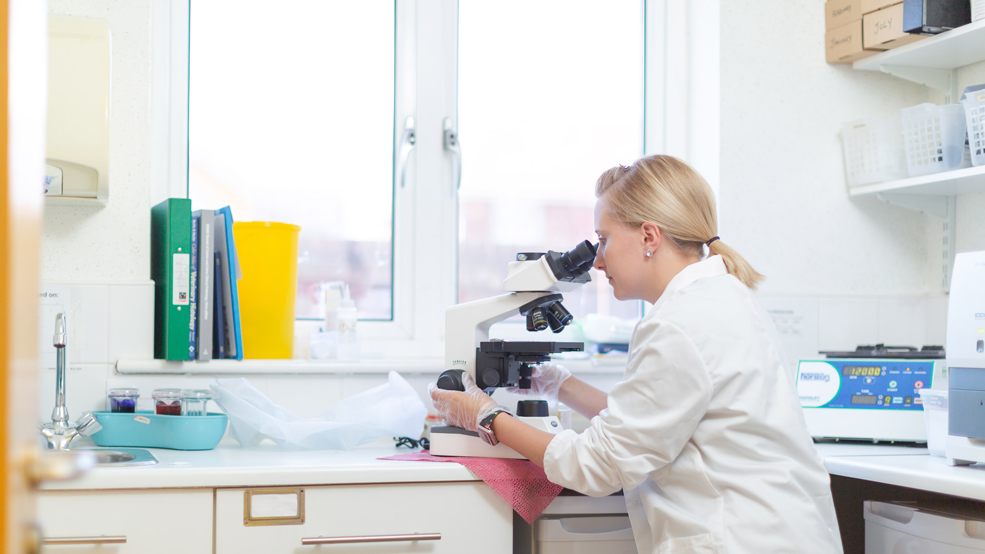 State-of-the-art Facilities at Orwell Vets | Suffolk Vets - Orwell Vets