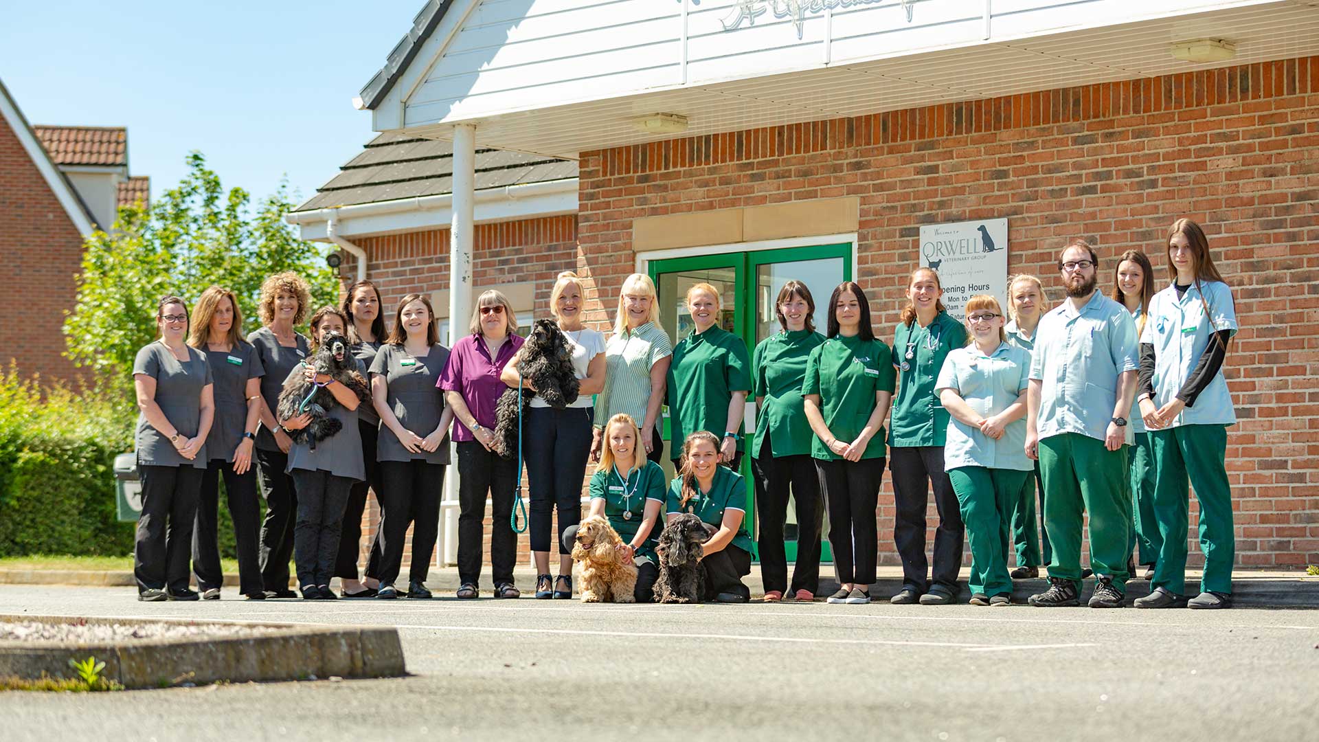 Meet Your Local Vet Team | Ipswich, Kesgrave, Ravenswood and Stutton ...