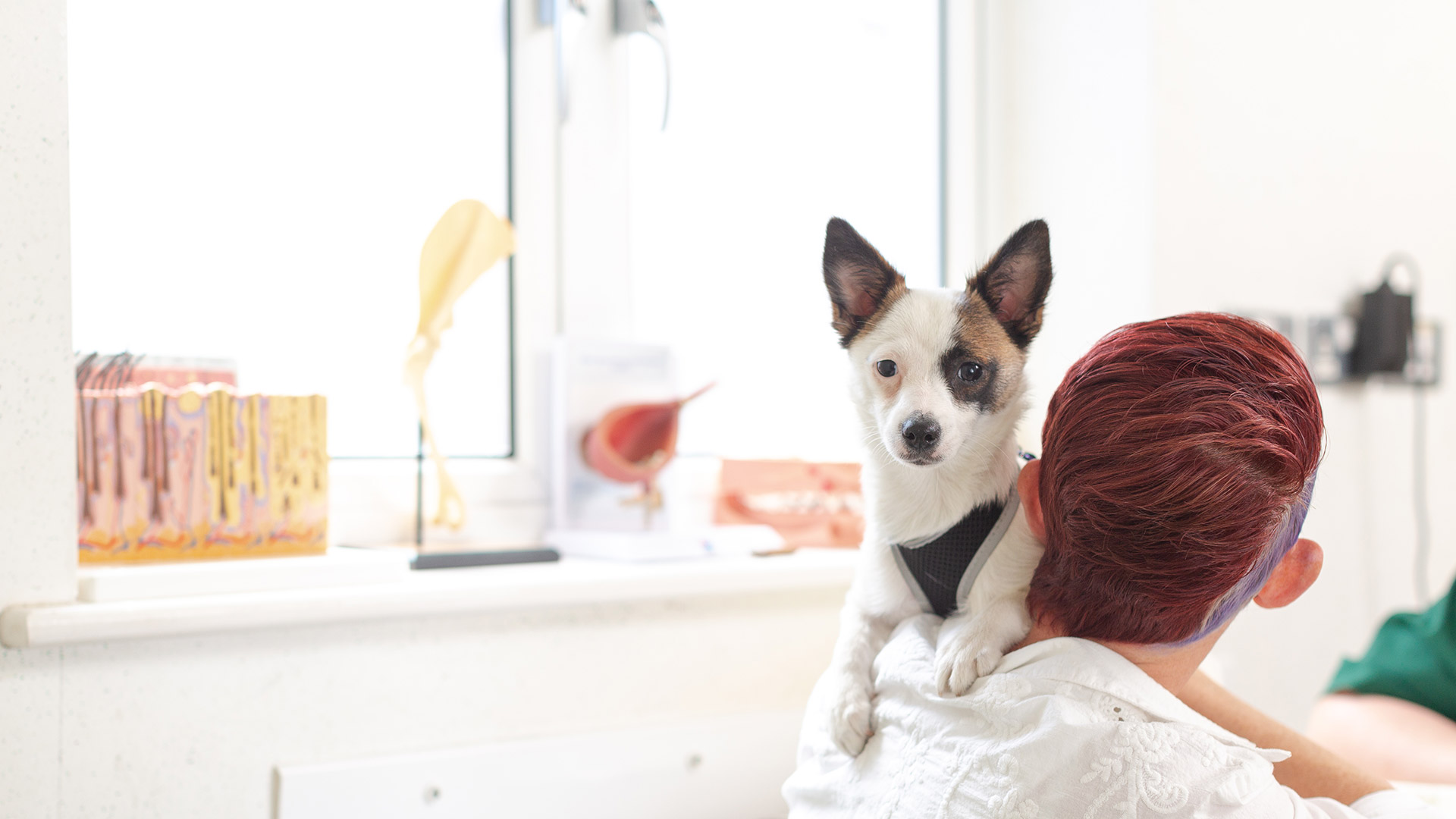 Vets in Ipswich | Our Practice History - Orwell Vets