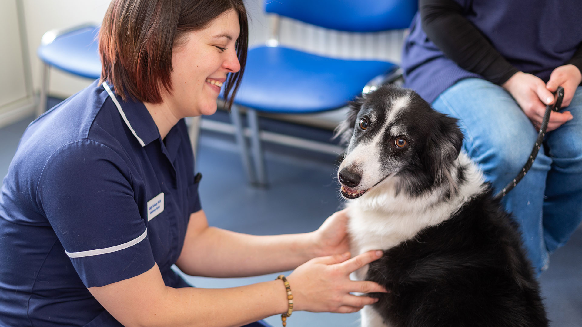 Contact Us | Penmellyn Vets in Newquay - Penmellyn Vets Pool