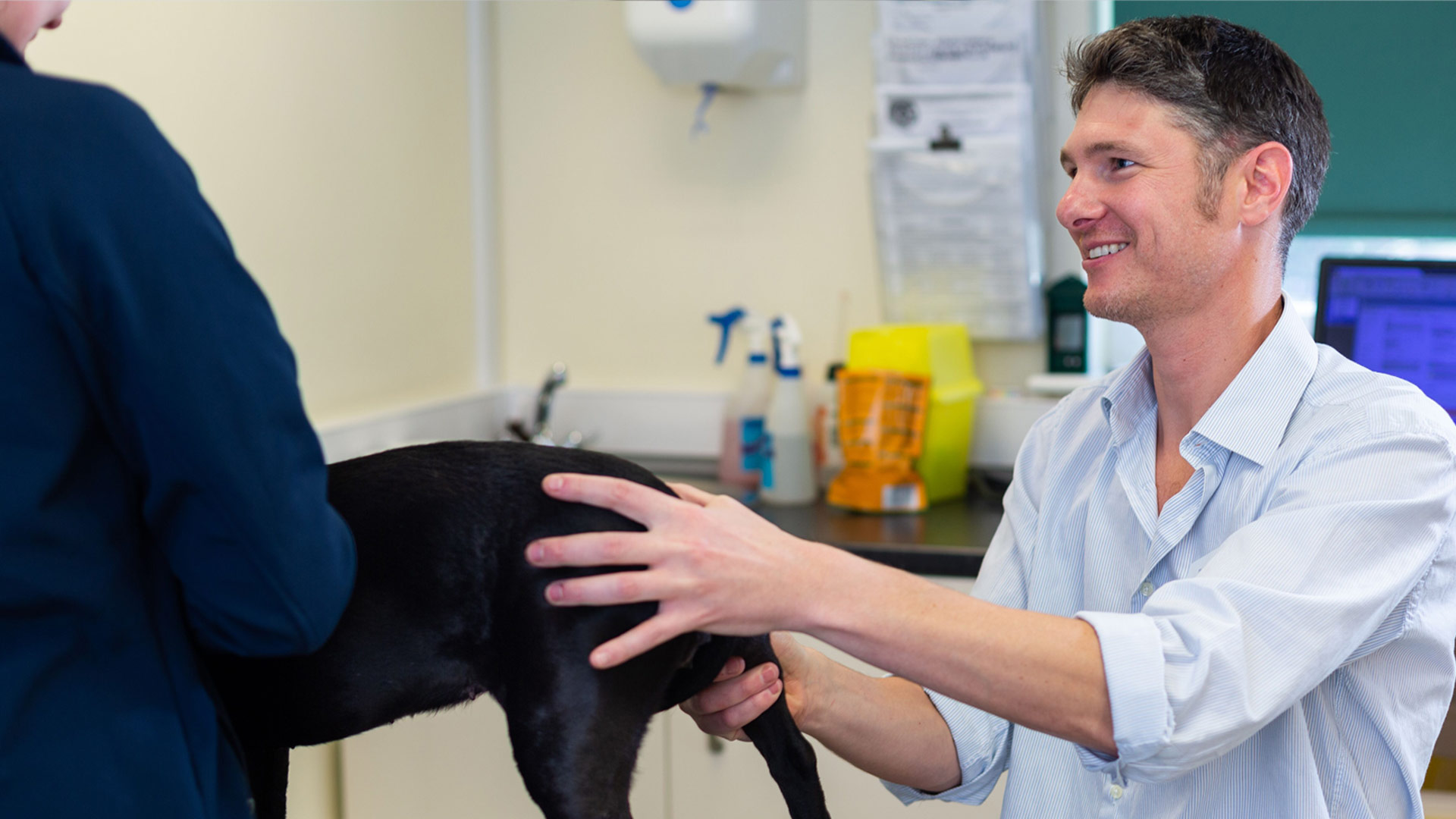 Pets | Penmellyn Vets in Cornwall - Penmellyn Vets