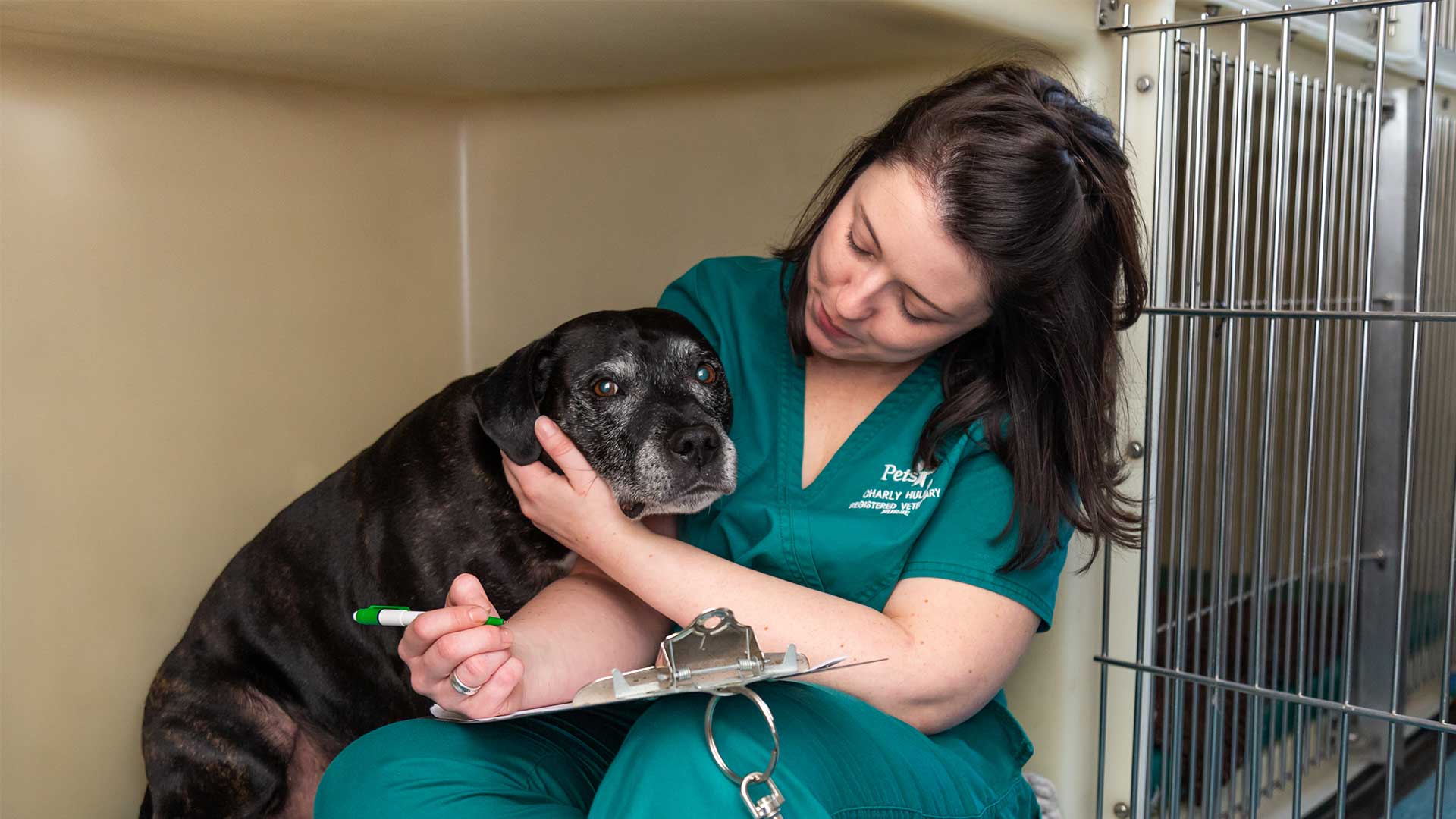 Work With Pets 1st Vets | Vets in Surrey - Pets 1st Vets