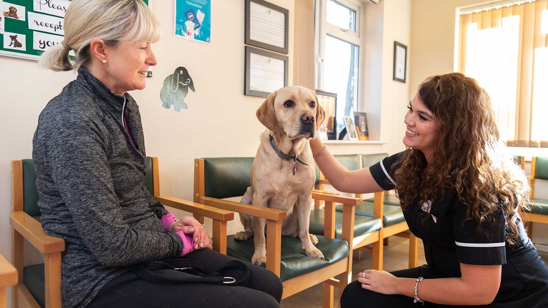 Request An Appointment With Pets 1st Vets | Vets in Surrey - Pets 1st Vets