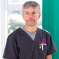 About Us | Plymouth Veterinary Group | Local Vets in Plymouth - The ...